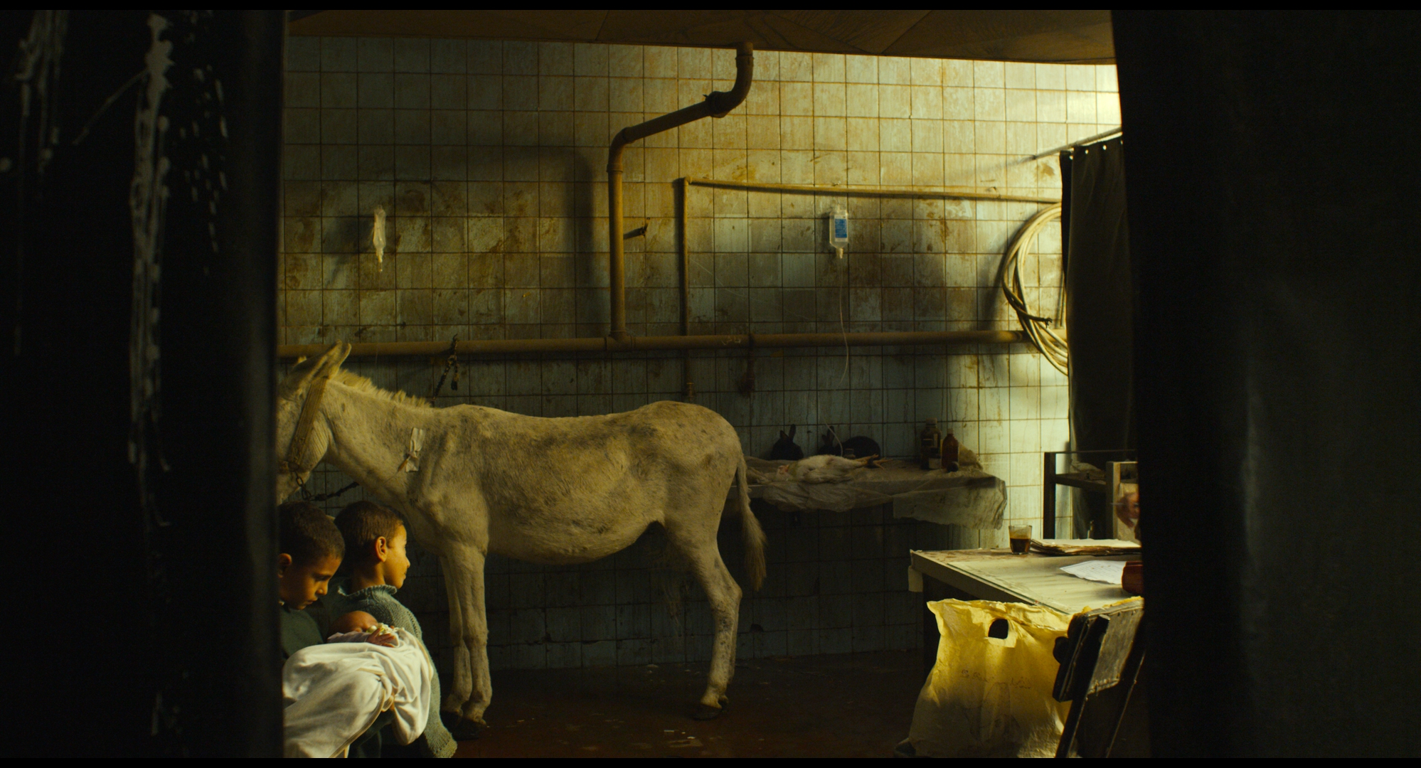 FEATHERS - SAFAR FILM FESTIVAL